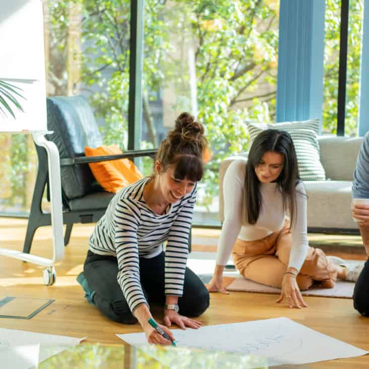 photo gallery - wallacespace