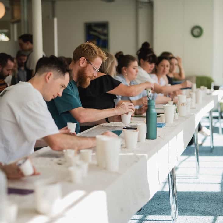 photo gallery - wallacespace